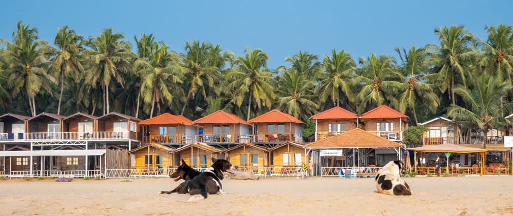 Top 9 Hidden and Less Crowded Beaches in Goa (2025)