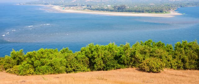 Top 9 Hidden and Less Crowded Beaches in Goa (2025)