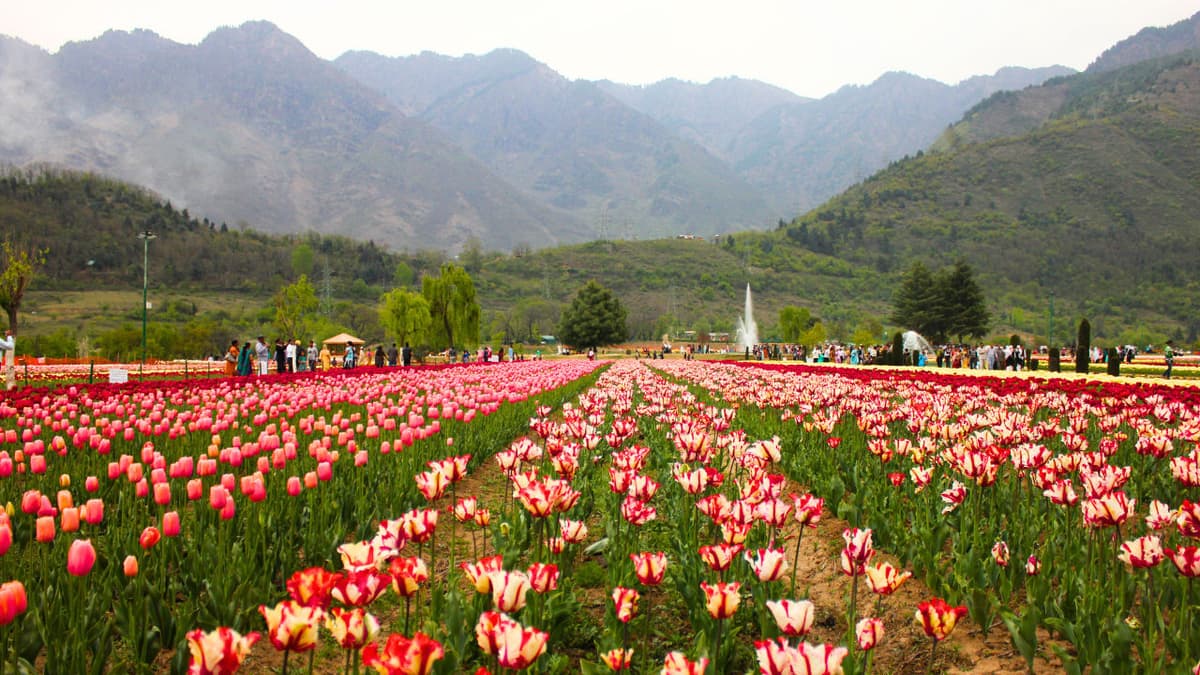 Weather Snapshot of Spring