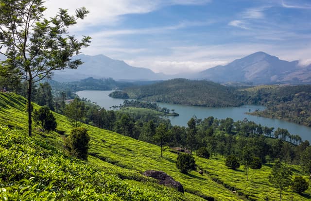 Top April Activities in Munnar: