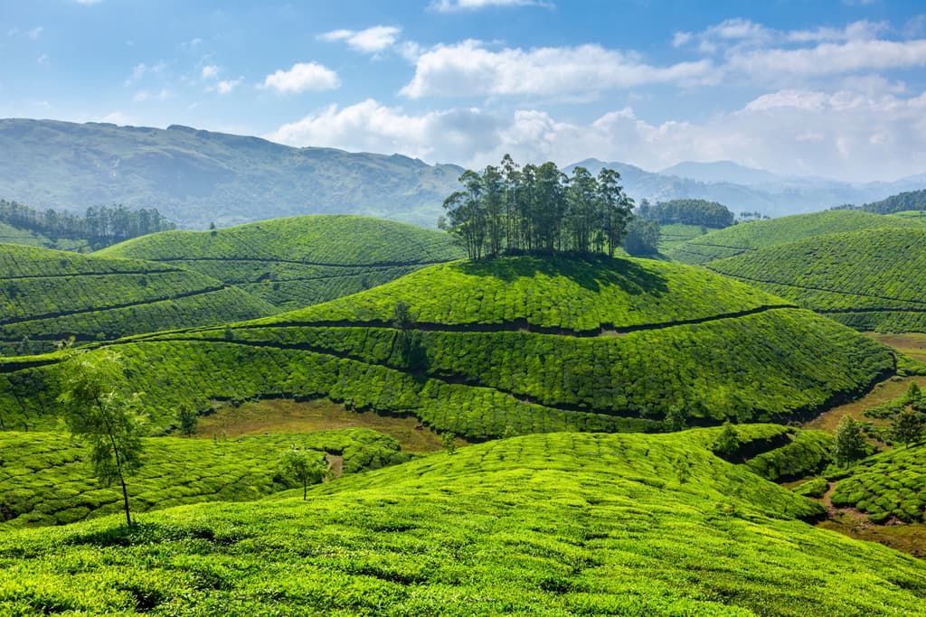 Top February Activities in Tamil Nadu: